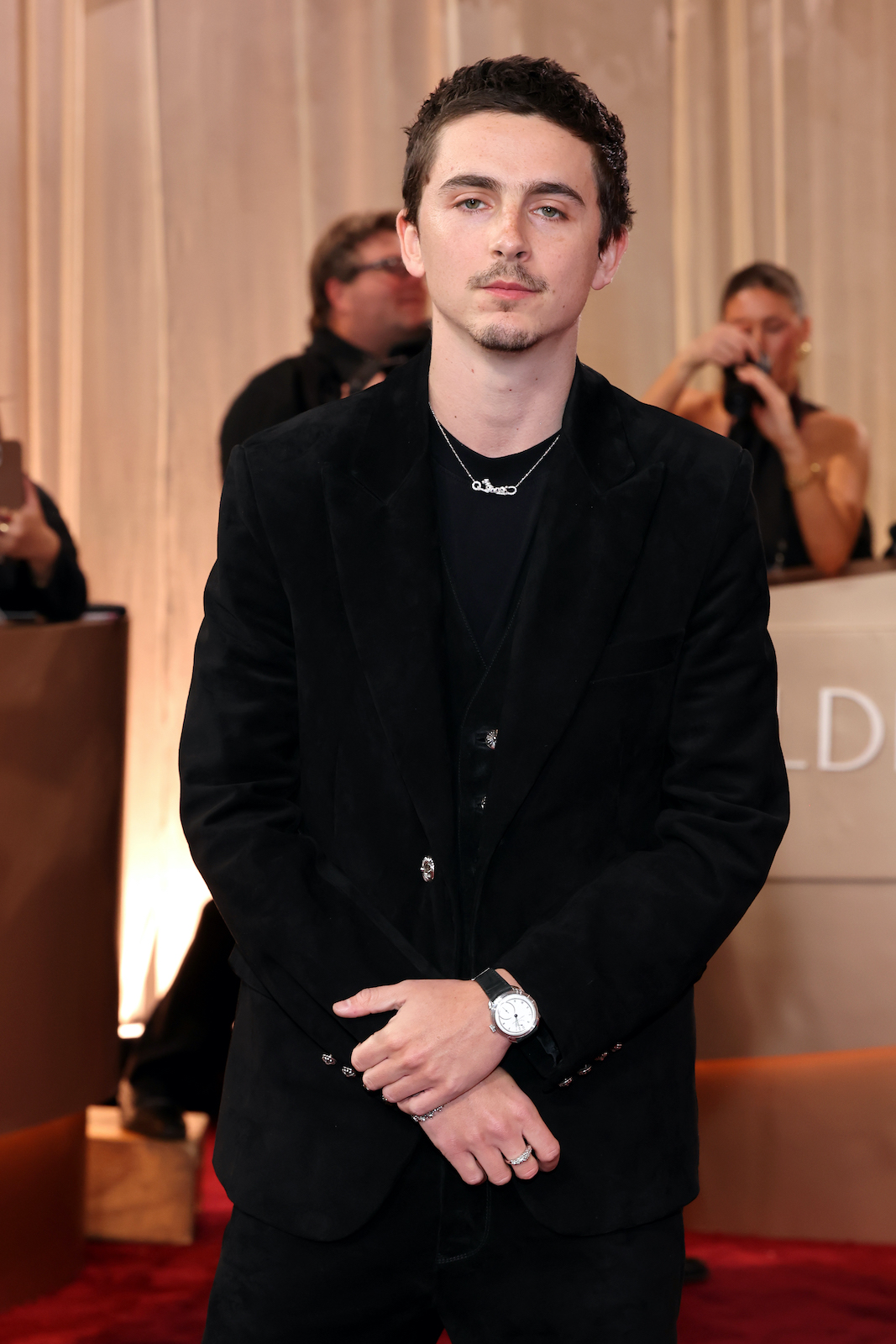 Moments in Time: Timothée Chalamet Red Carpet Time – The Gourmet Gazette